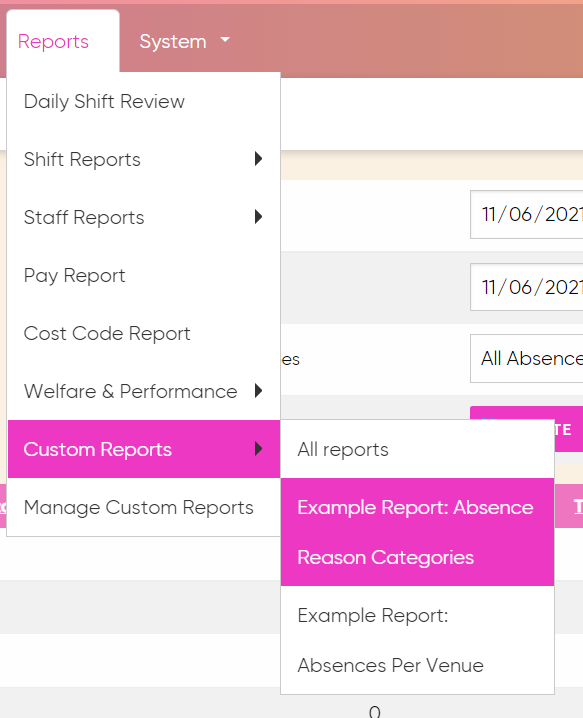 Custom Reports Access – StaffSavvy Support